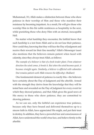 Importance of Patience in the Qur'an | PDF