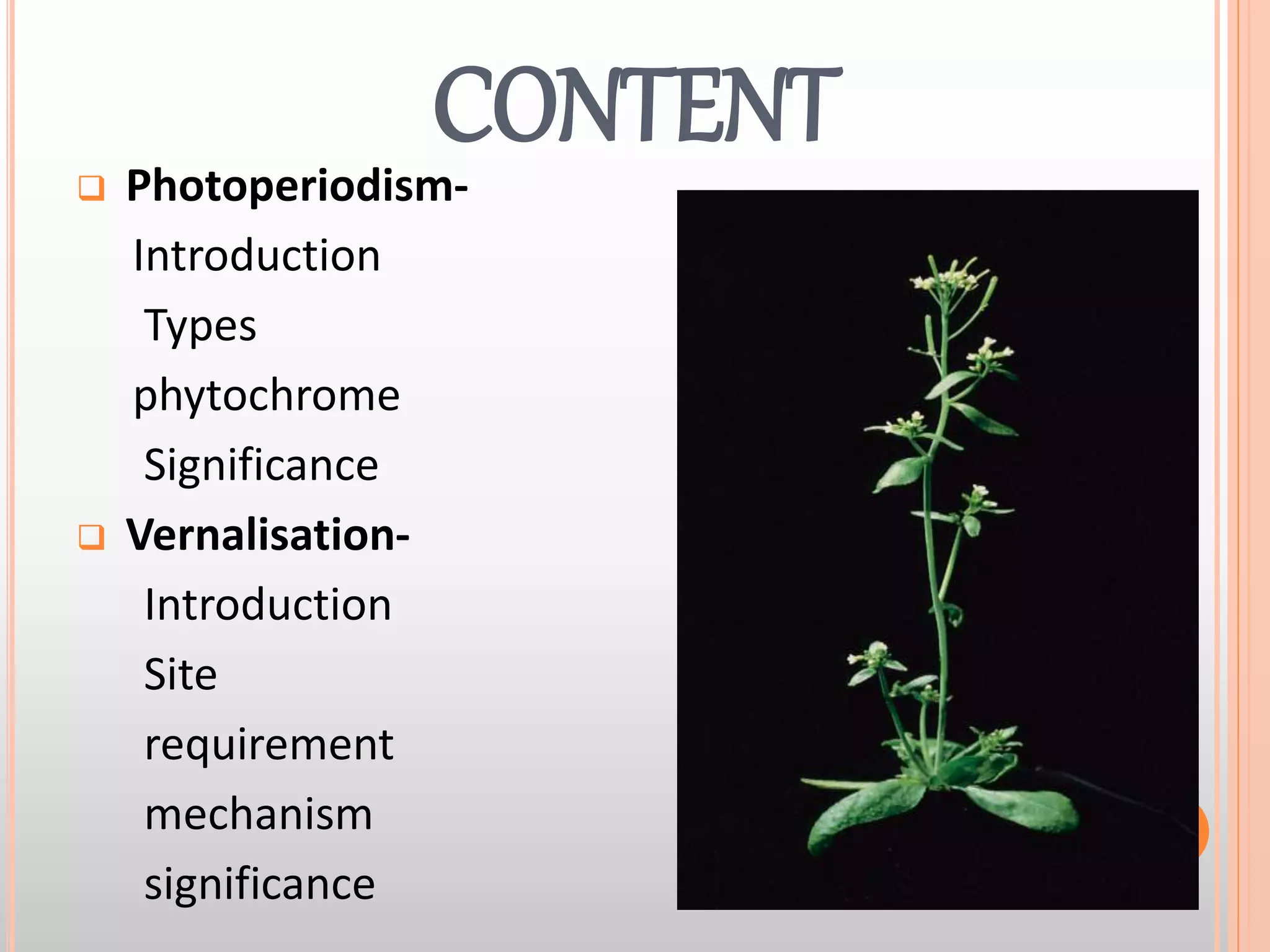 Importance of photoperiodisum and vernalization | PPTX