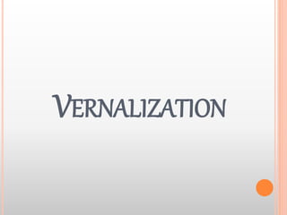 Importance of photoperiodisum and vernalization | PPTX