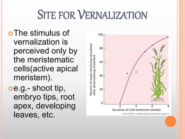 Importance of photoperiodisum and vernalization | PPTX