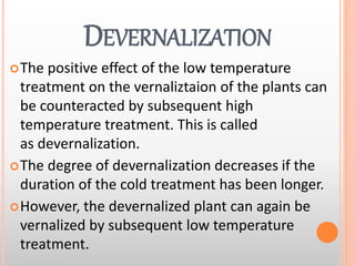 Importance of photoperiodisum and vernalization | PPTX