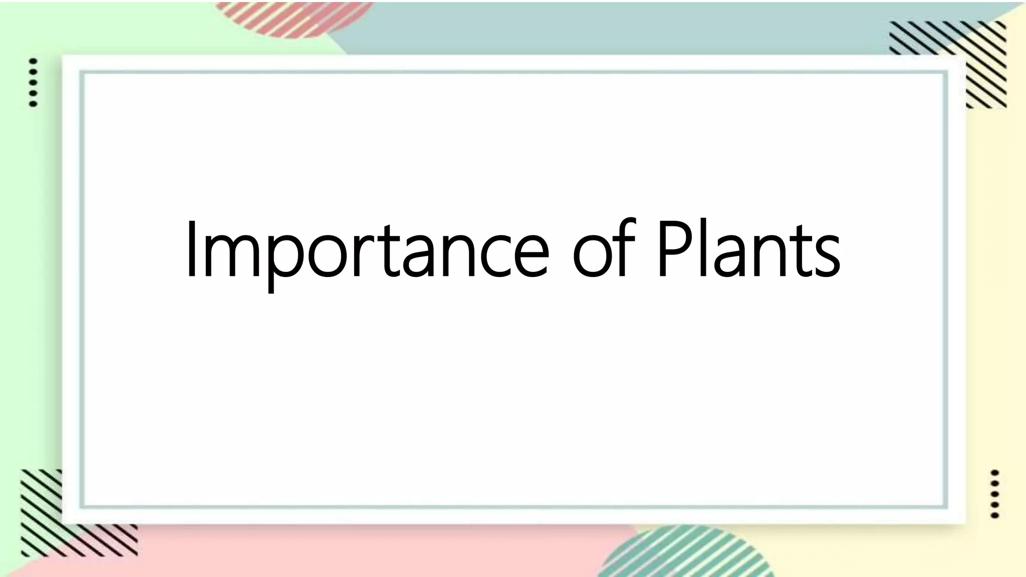 Importance of Plant | PPTX