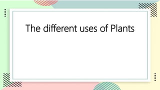 Importance of Plant | PPT