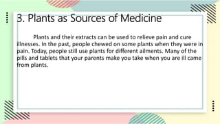 Importance of Plant | PPTX