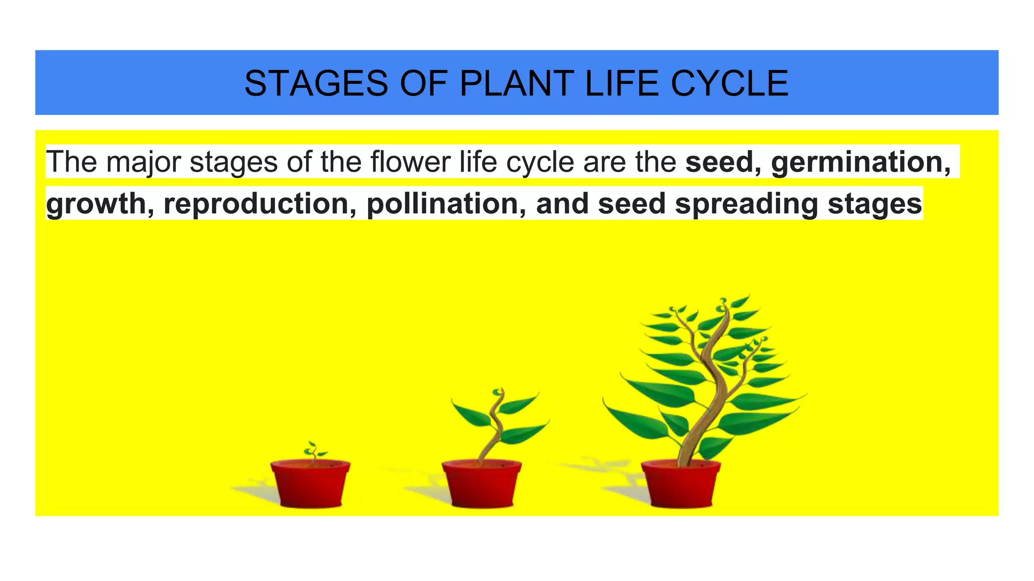 Importance of planting | PPTX