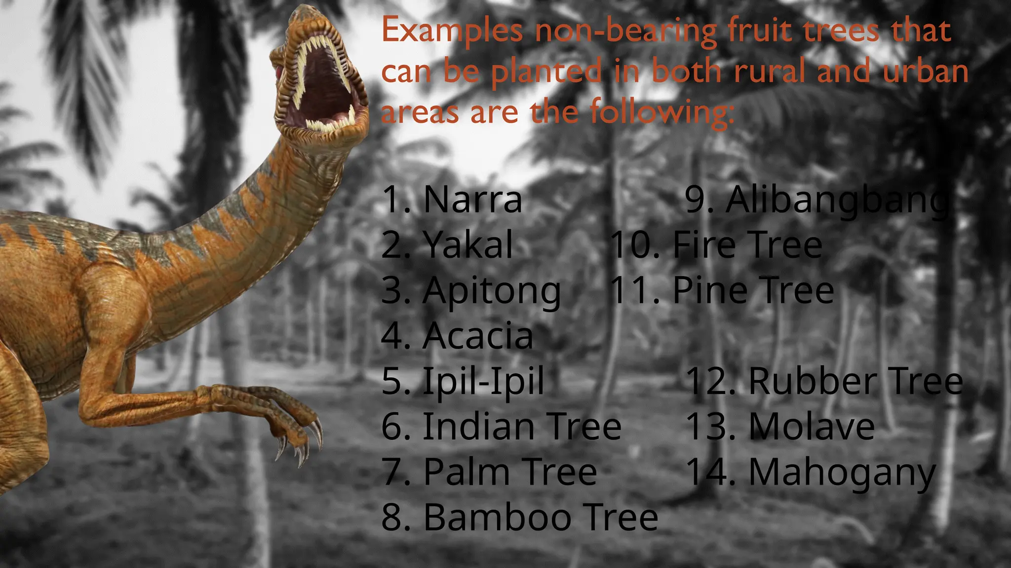 Importance of Planting and Propagating Trees | PPTX