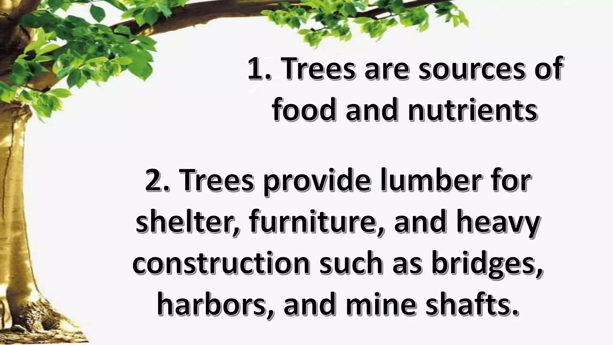 Importance of planting trees | PPTX
