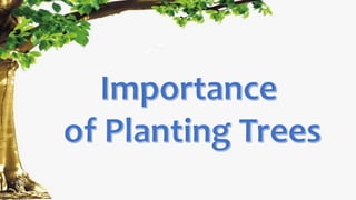 Importance of planting trees | PPTX