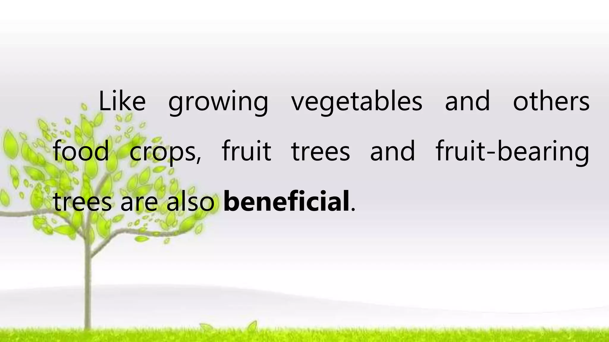 Importance of Planting Trees and Uses of Fruit-Bearing Trees | PPTX