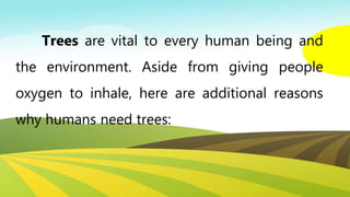 Importance of Planting Trees and Uses of Fruit-Bearing Trees | PPTX