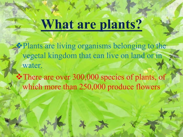 Importance of plants | PPTX