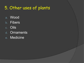 Importance of plants | PPTX