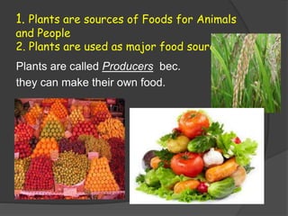 Importance of plants | PPTX