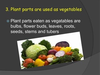 Importance of plants | PPTX