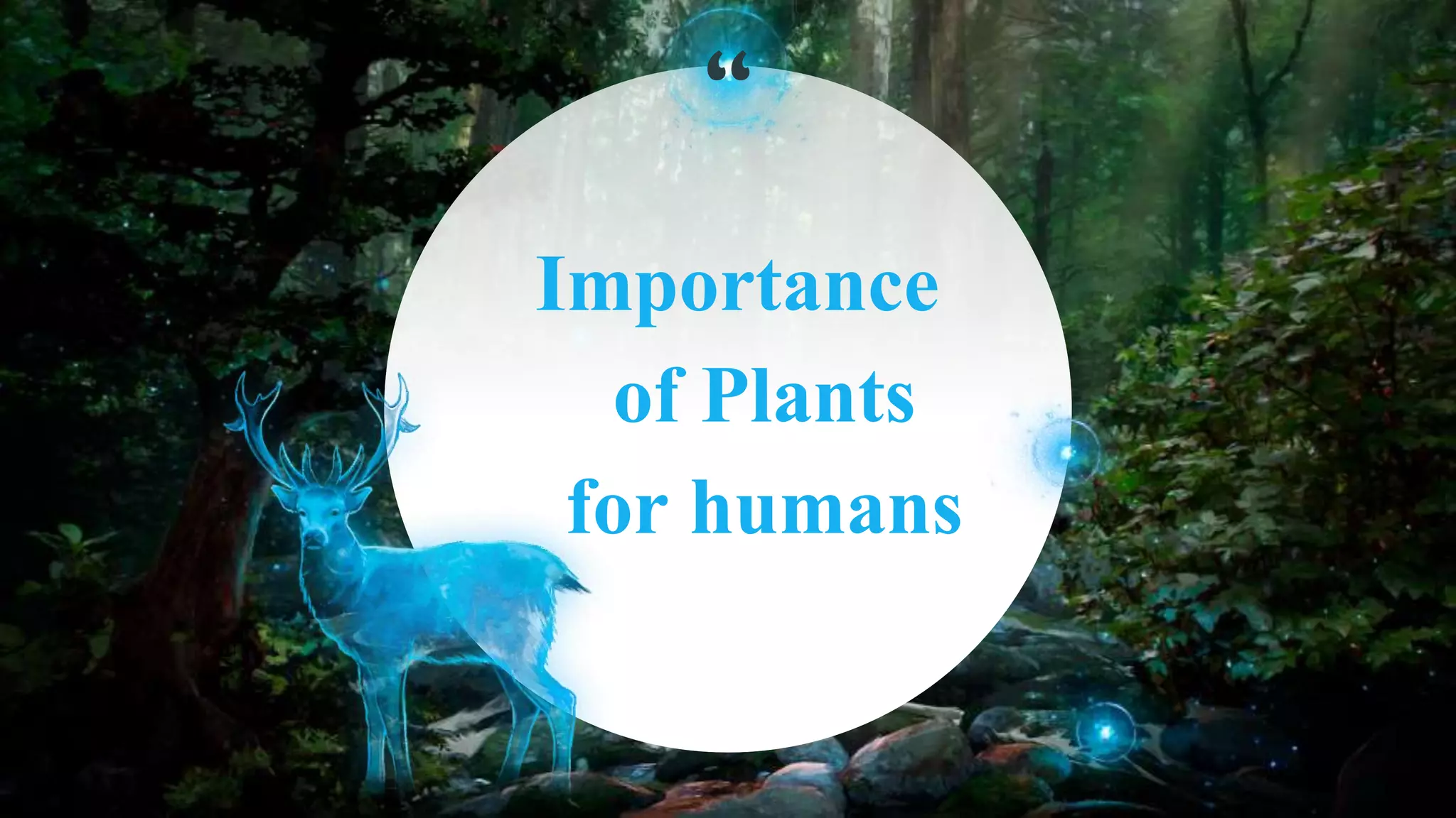Importance of plants | PPTX