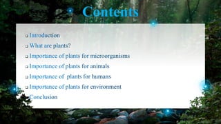 Importance of plants | PPTX