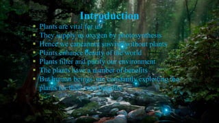 Importance of plants | PPTX