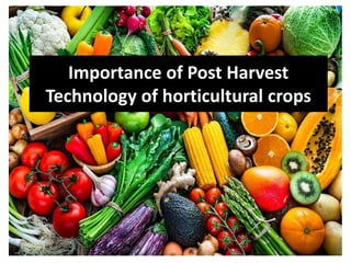 Importance of post harvest technology in fruits and vegetables.pptx