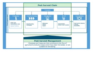 Importance of post harvest technology in fruits and vegetables.pptx