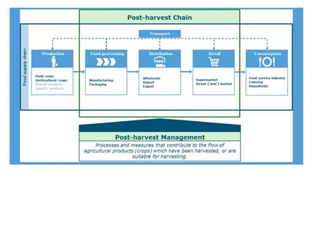 Importance of post harvest technology in fruits and vegetables.pptx ...