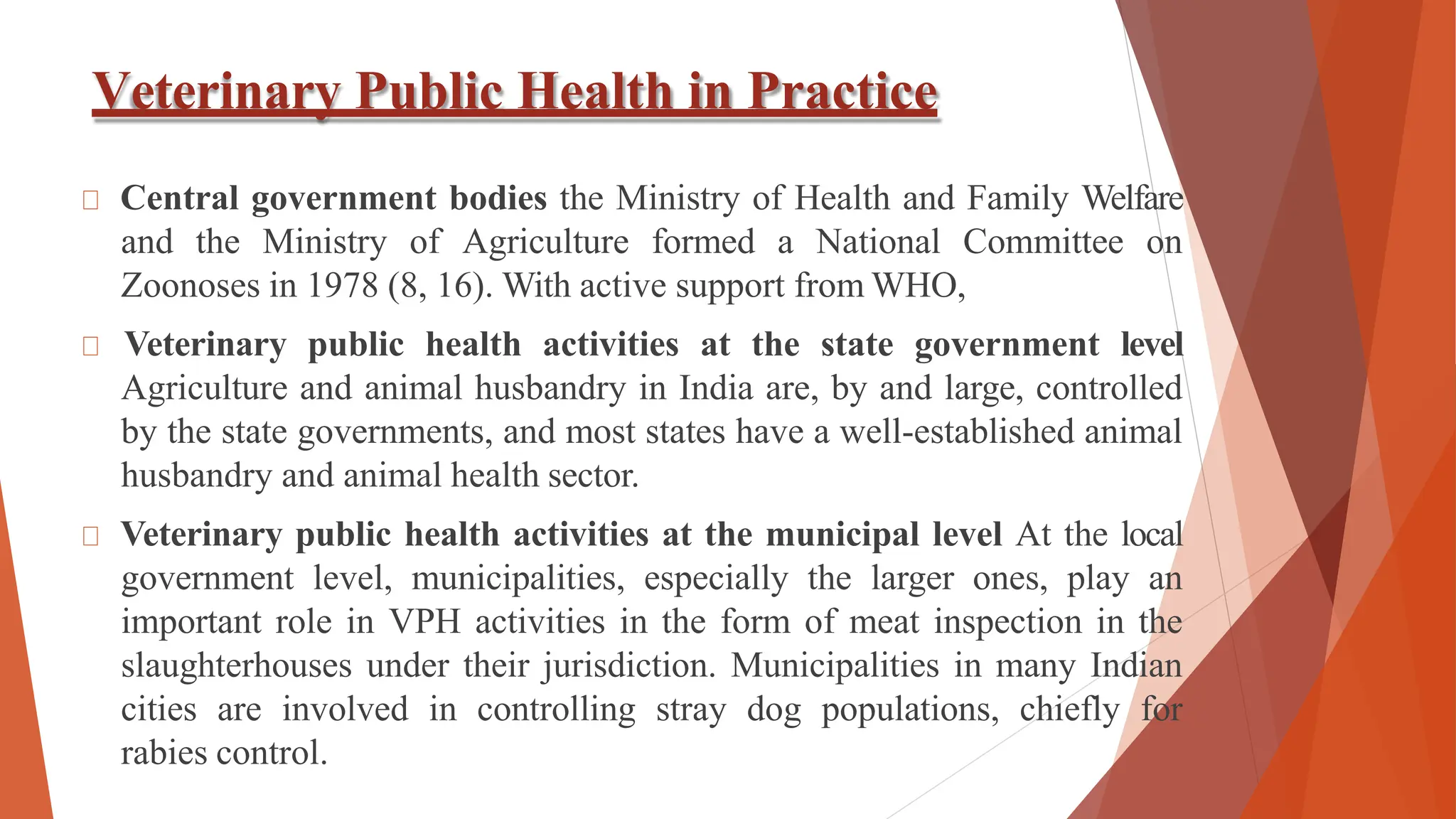 importance of public health.pptx under graduate students | PPTX
