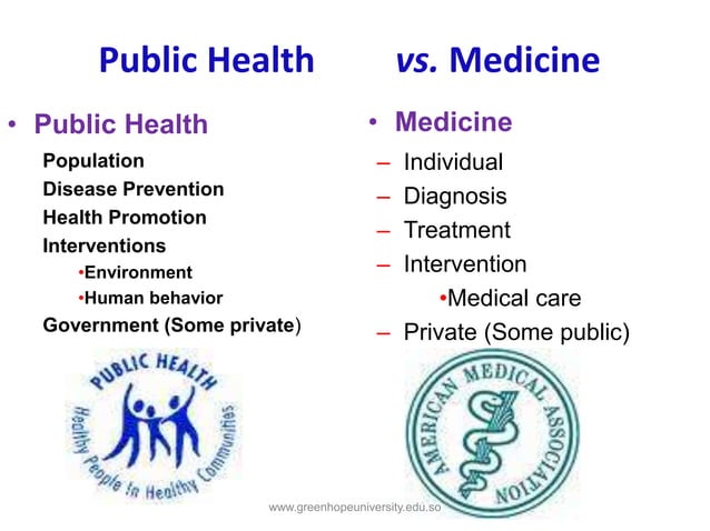 Understanding the Importance of Public Health | PPT