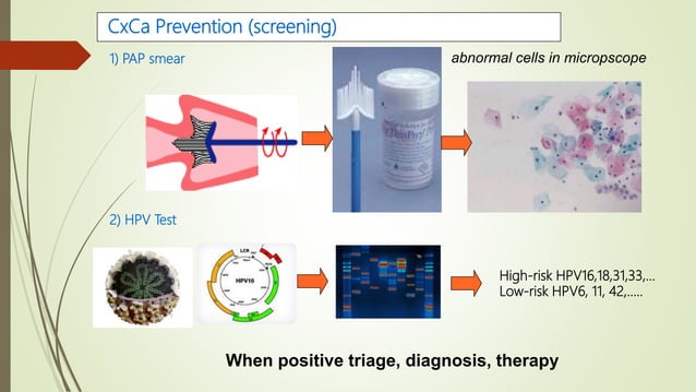 Importance of real time pcr in diagnosis of infectious diseases | PPTX