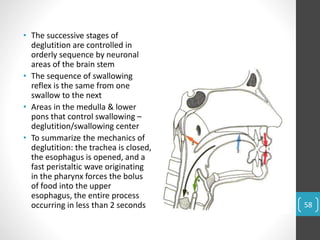 Importance of respiration, deglutition and speech in development of ...