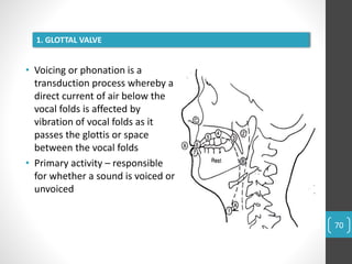Importance of respiration, deglutition and speech in development of ...