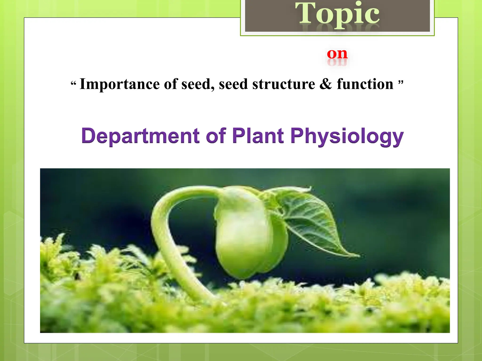Importance of seed, seed structure & function ”.pptx