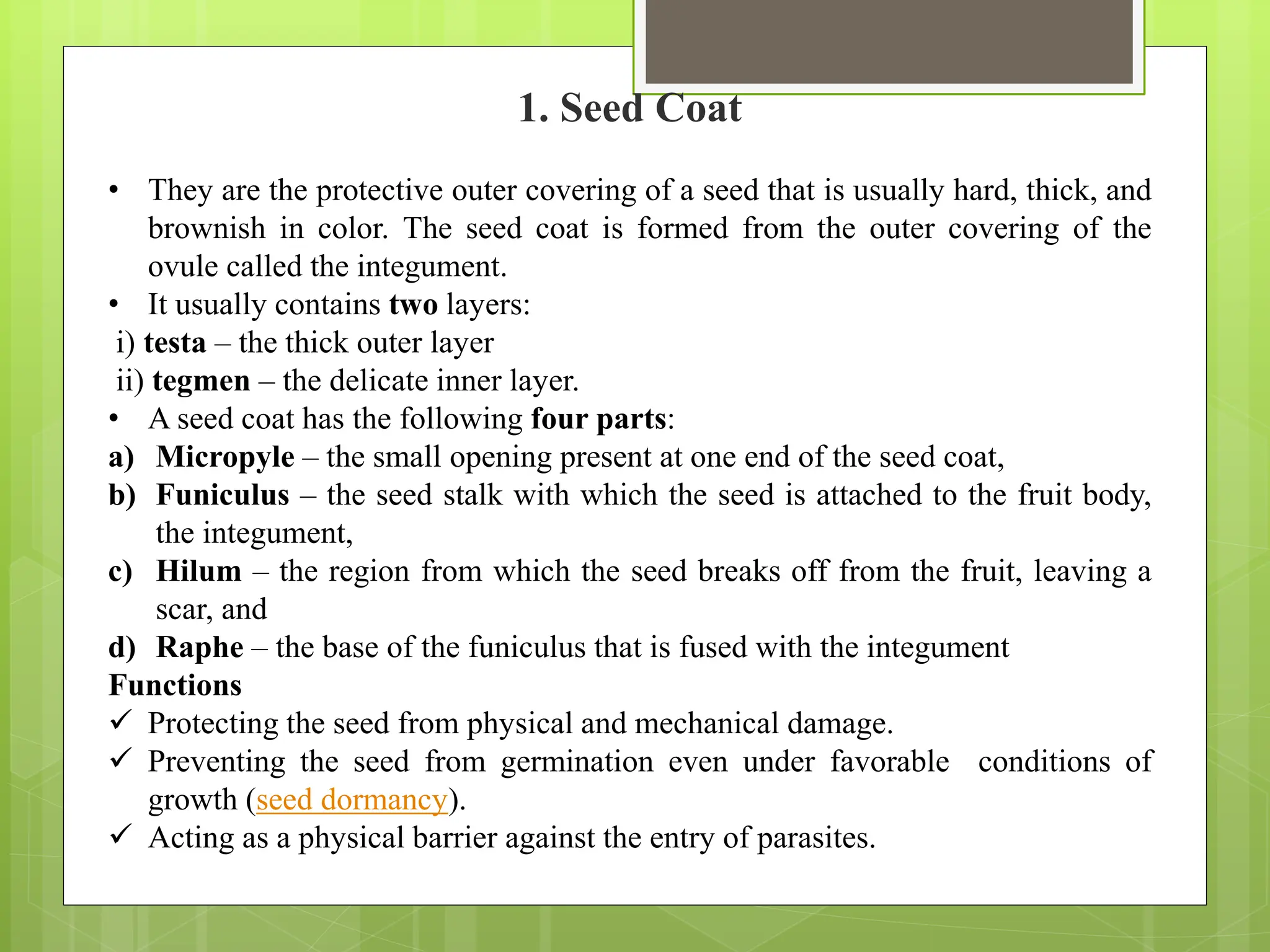 Importance of seed, seed structure & function ”.pptx