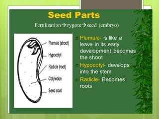Importance of seed, seed structure & function ”.pptx