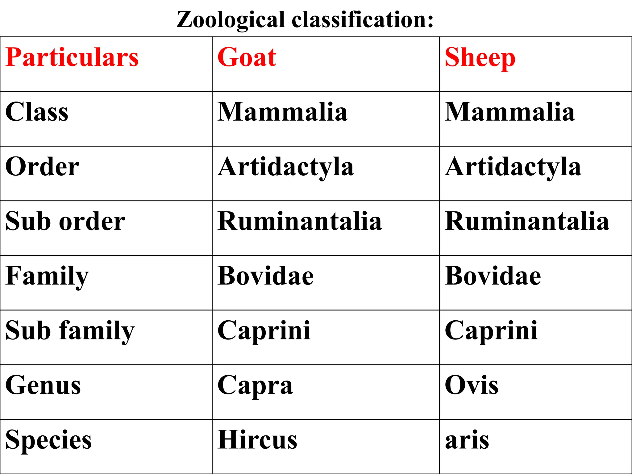 Importance of Sheep and Goat.pptx importance of Sheep and Goat | PPTX