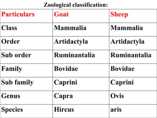 Importance of Sheep and Goat.pptx importance of Sheep and Goat | PPTX