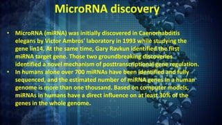 Importance of si rna and microrna | PDF