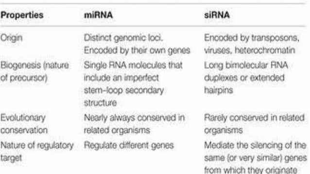 Importance of si rna and micro rna | PDF | Biological Sciences | Science
