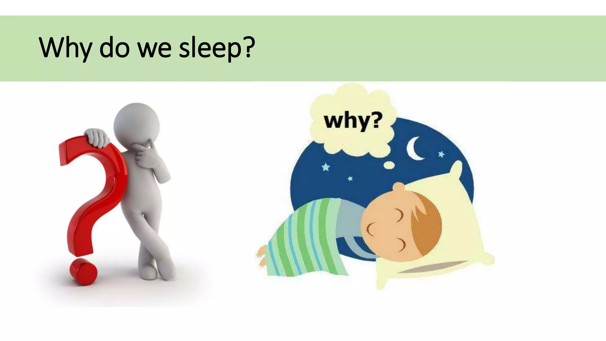 Importance of sleep | PPTX