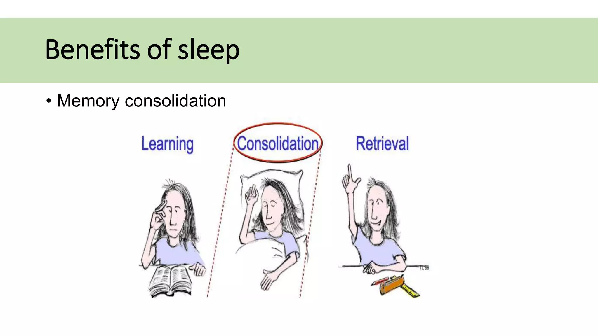 Importance of sleep | PPTX
