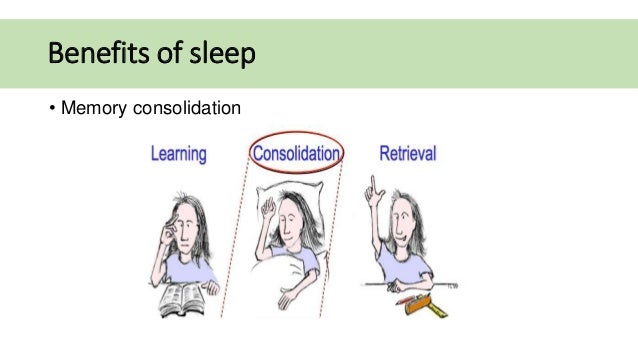Importance of sleep