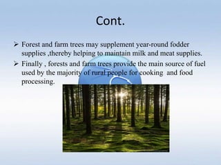 Importance of social forestry for food security in Bangladesh | PPTX