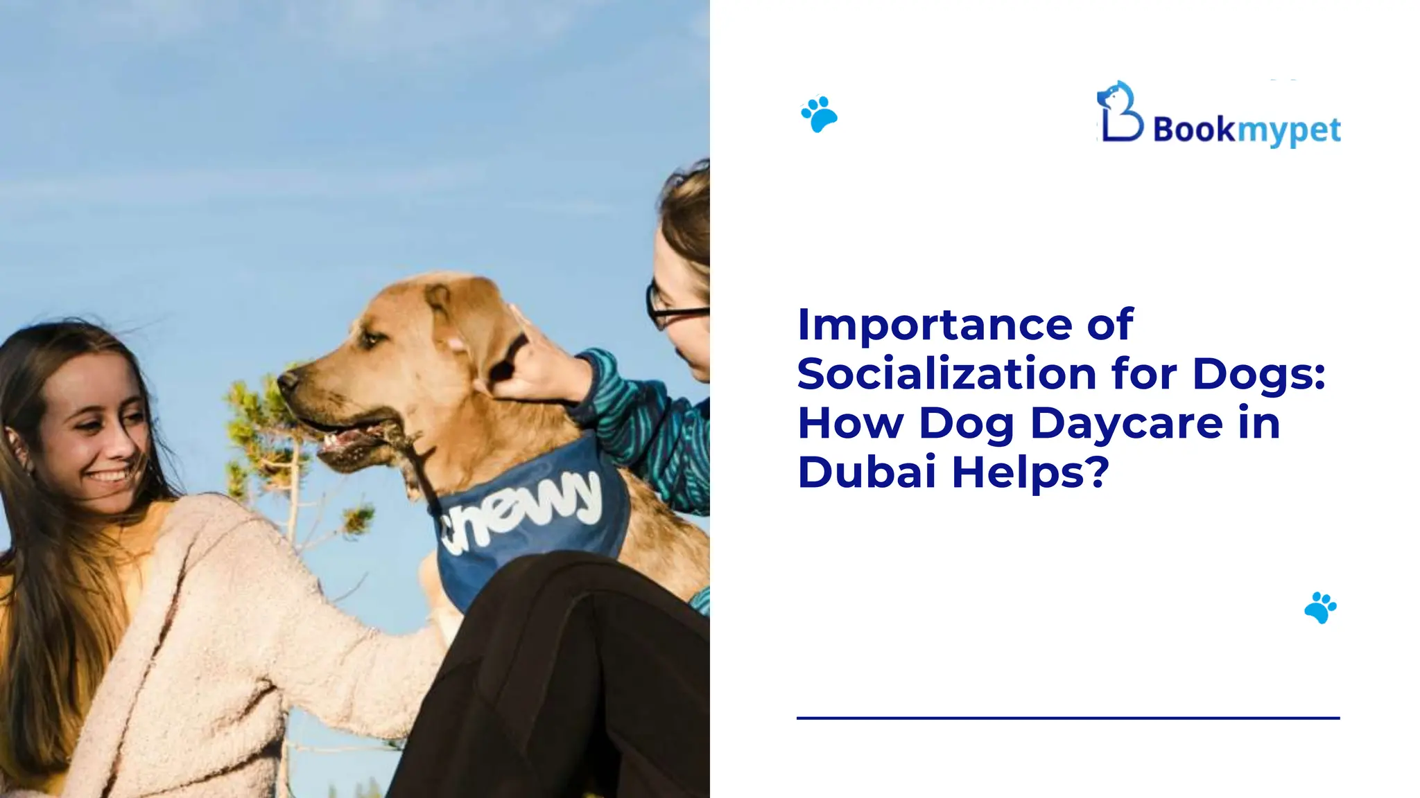 Importance of Socialization for Dogs How Dog Daycare in Dubai Helps | PPTX