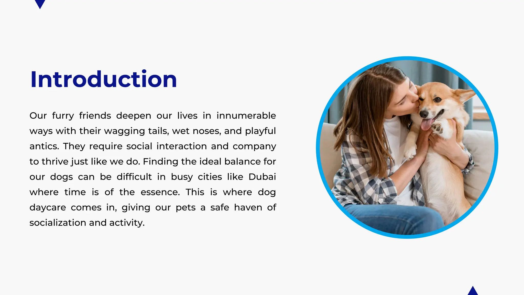 Importance of Socialization for Dogs How Dog Daycare in Dubai Helps | PPTX