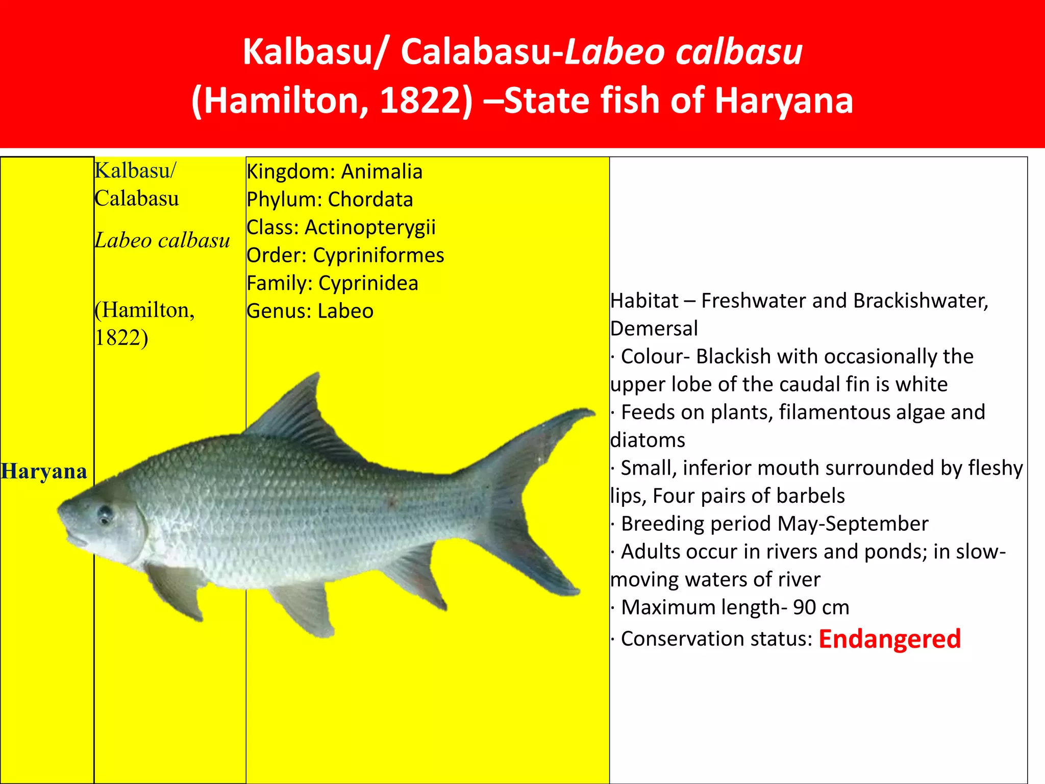 IMPORTANCE OF STATE FISHES OF INDIA BY B.pptx | Fish and Aquariums | Pets