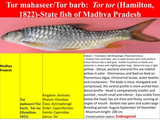 IMPORTANCE OF STATE FISHES OF INDIA BY B.pptx | Fish and Aquariums | Pets