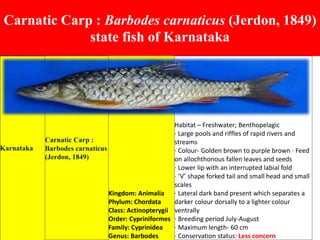 IMPORTANCE OF STATE FISHES OF INDIA BY B.pptx | Fish and Aquariums | Pets