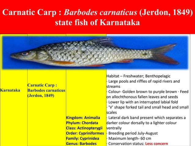 IMPORTANCE OF STATE FISHES OF INDIA BY B.pptx