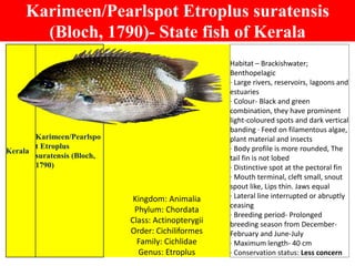 IMPORTANCE OF STATE FISHES OF INDIA BY B.pptx | Fish and Aquariums | Pets