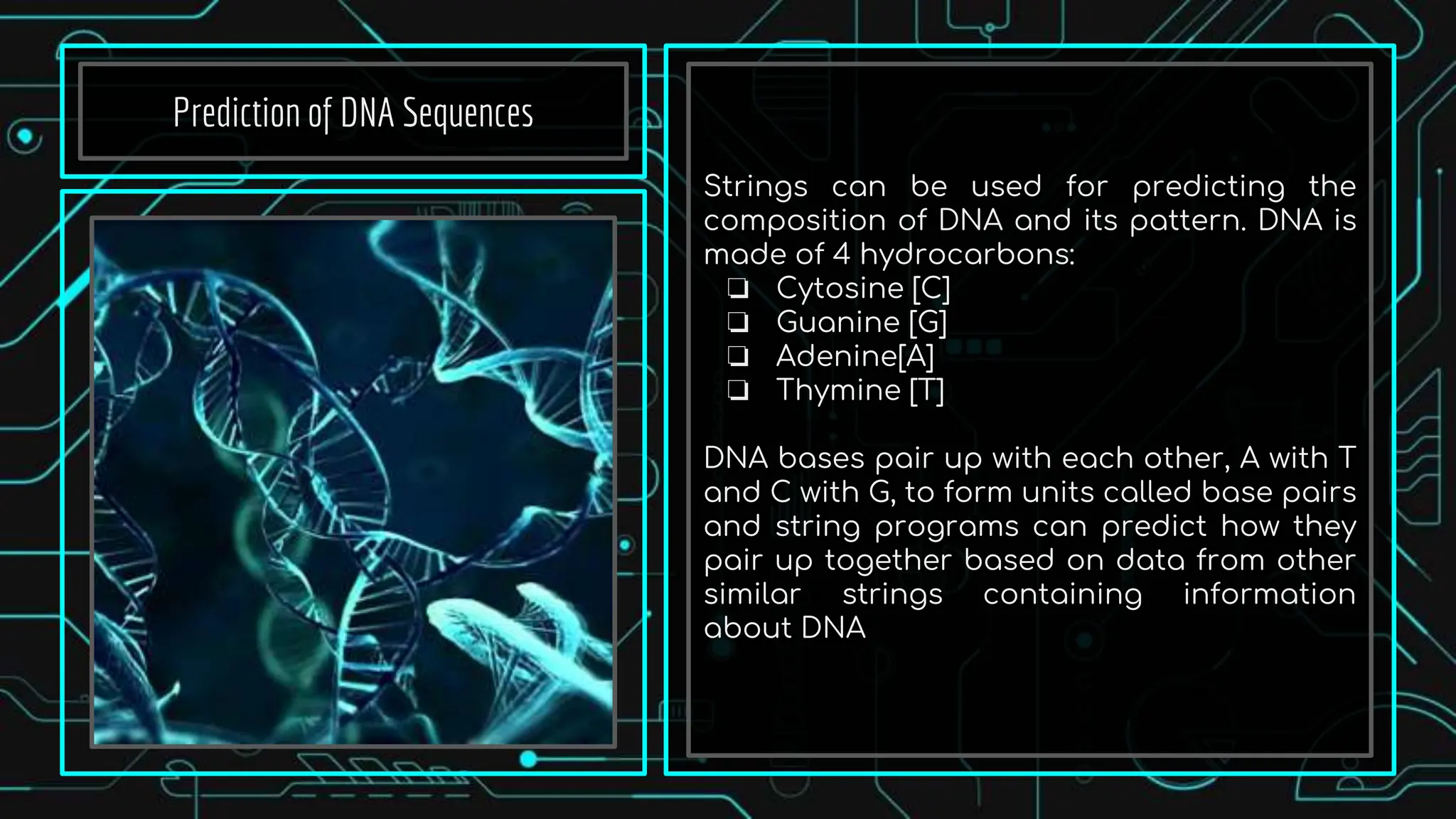 Importance of String in Programming Languages.pptx