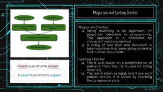 Importance of String in Programming Languages.pptx