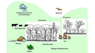 Importance of sustainable scientific harvesting practices of Minor ...